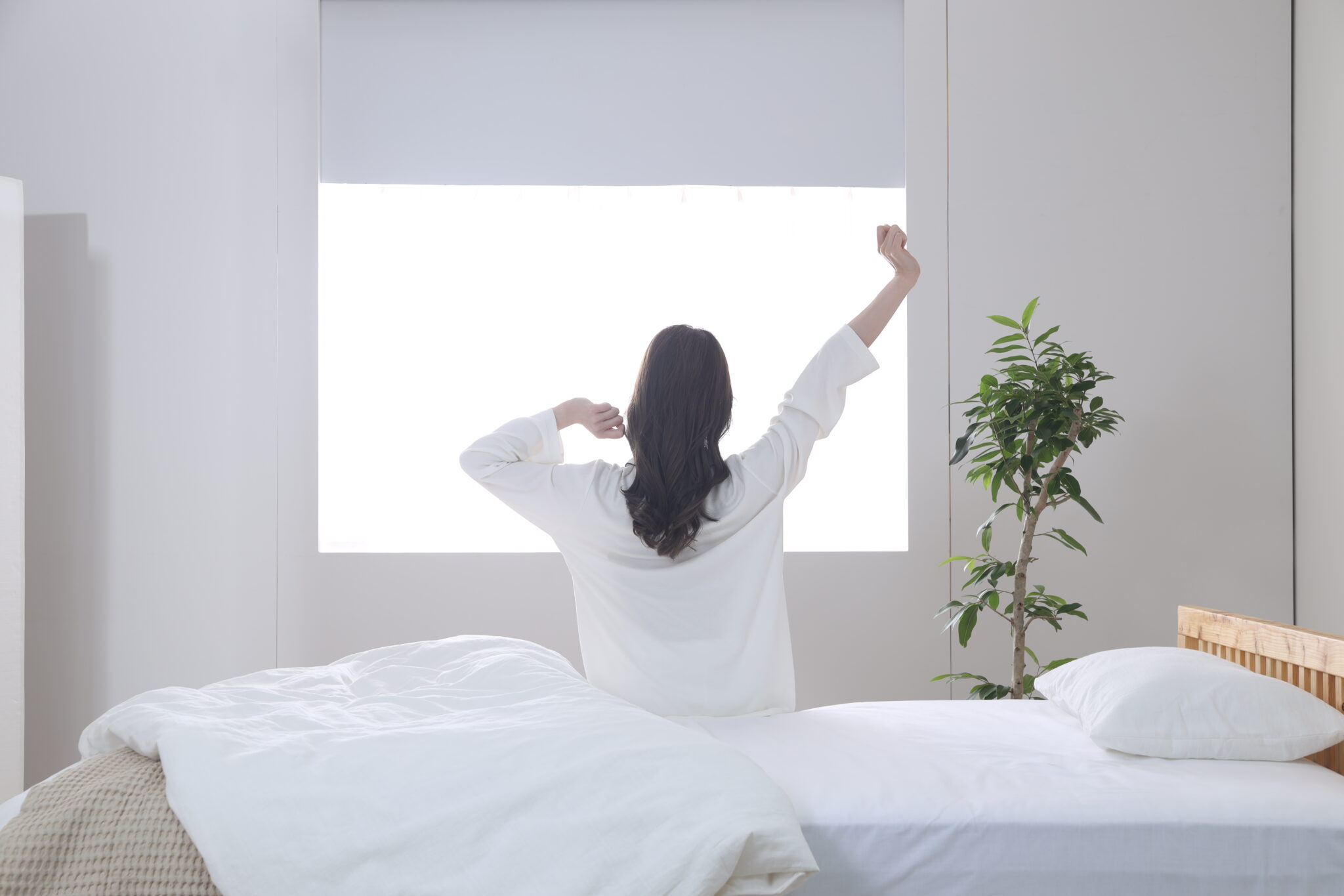 商品紹介 - tac INTERIOR